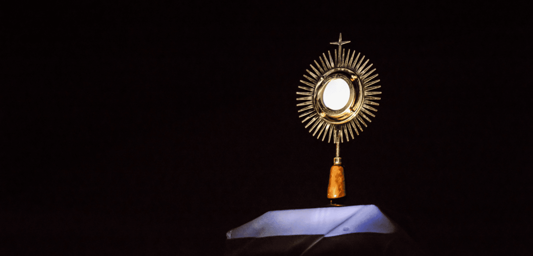 Committed to Transparency and Accountability – 2020 Impact Report ...